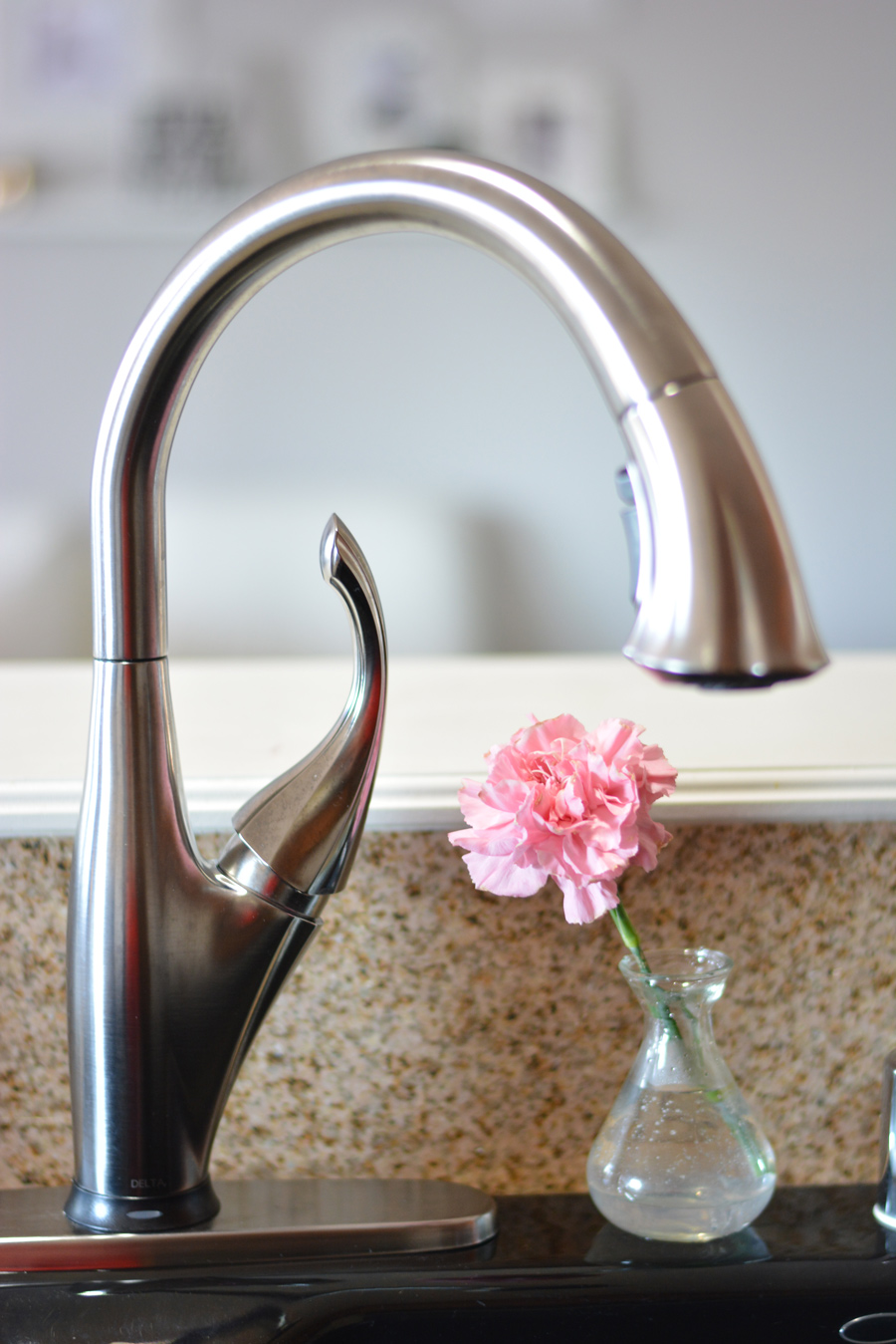 DIY Kitchen Inspiration: New Delta Faucet Installed # ...